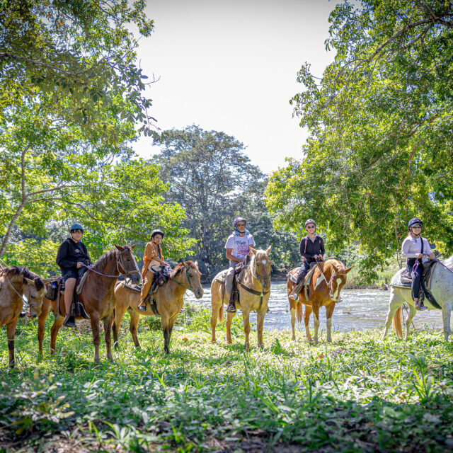 Belize Horseback Riding Tour | Mayan Ruins | Xunantunich - Maya Walk Tours