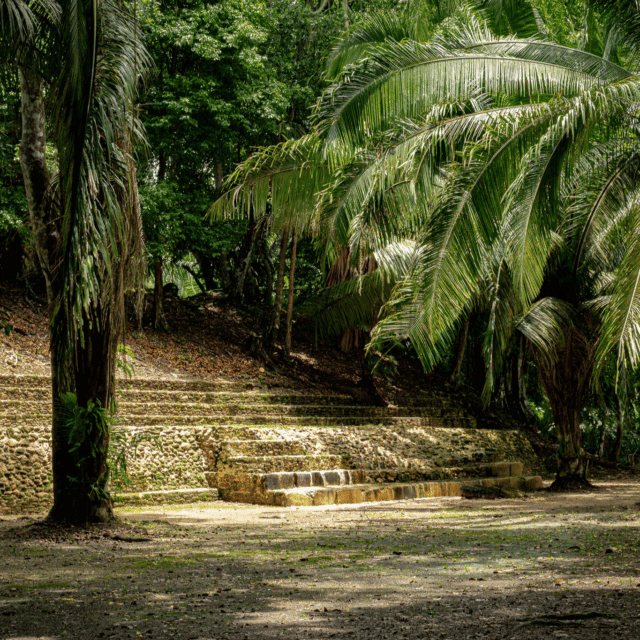 Lamani Belize- Lamanai Maya Site Tour