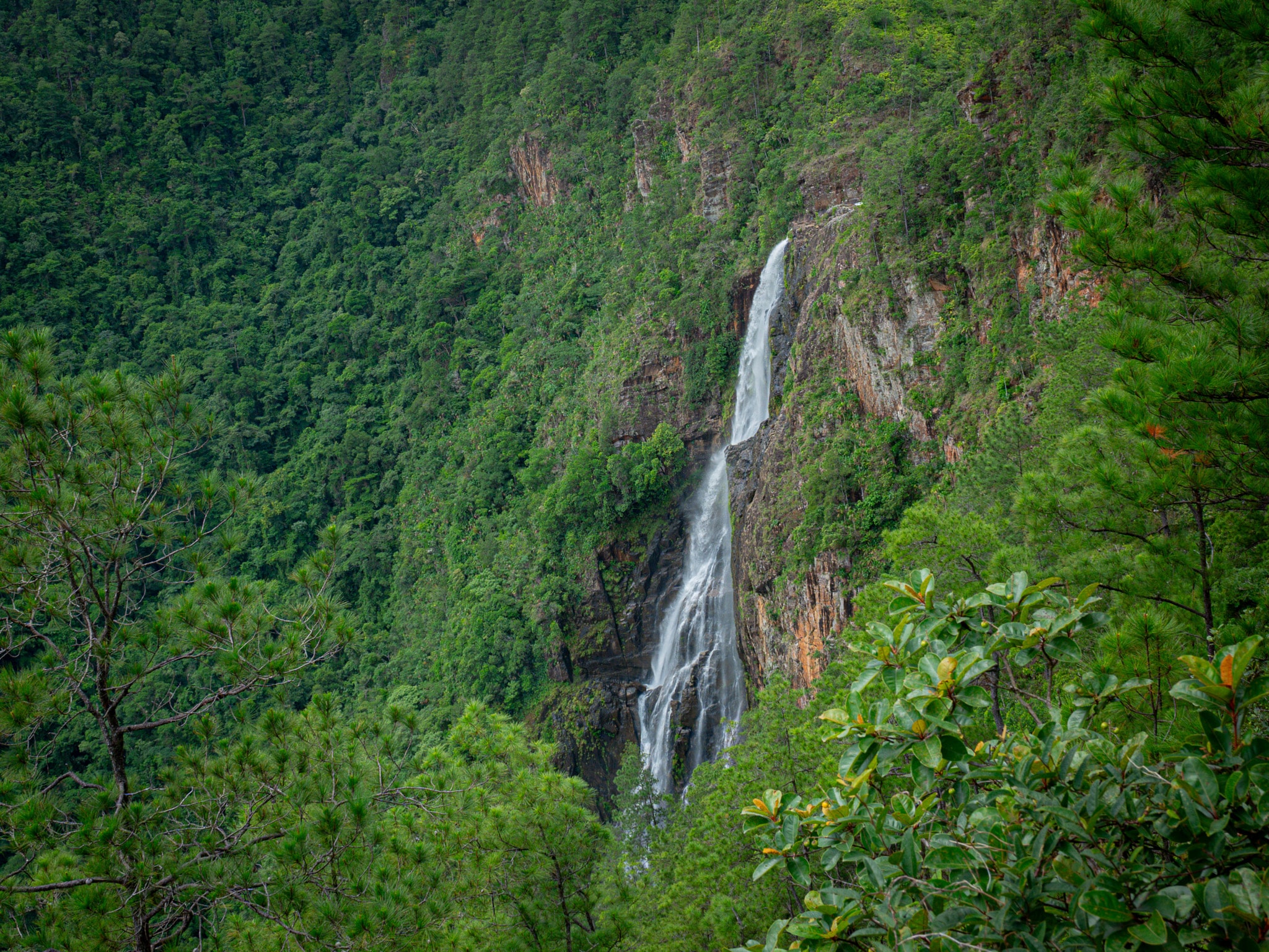MayaWalk Tours Joins Effort to Restore Belize’s Tallest Waterfall